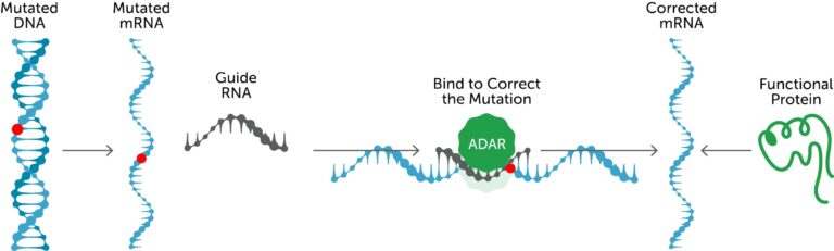 Technology - ADARx Pharmaceuticals
