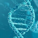 Company Overview - ADARx Pharmaceuticals